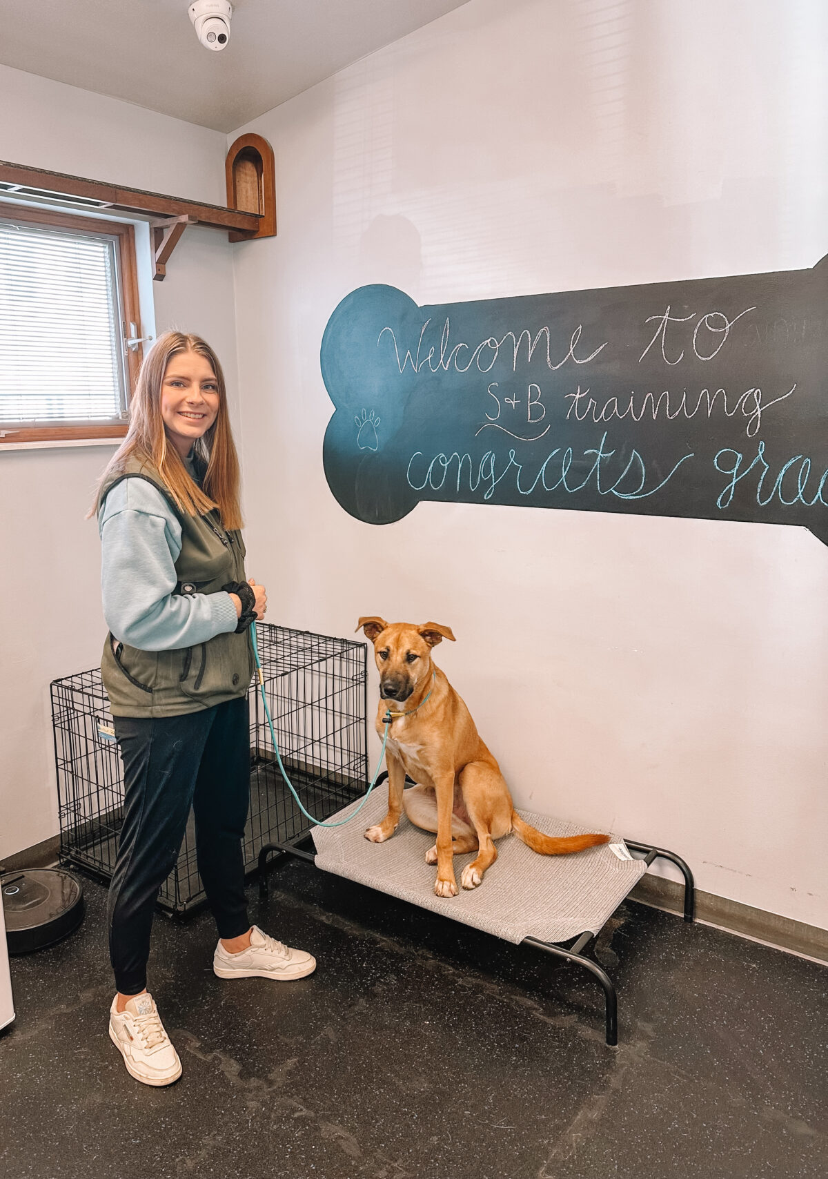 Dog Training in St. Louis Area - Sled & Breakfast